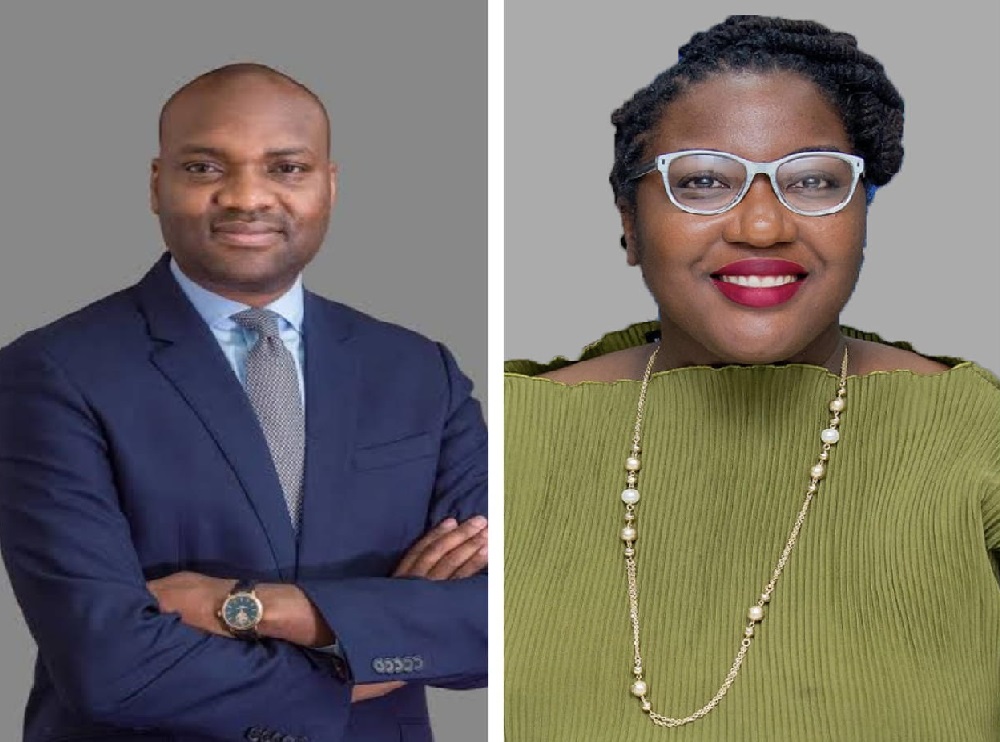 DRE Project: NSIA Partners All On To Boost Energy Access In Nigeria ...